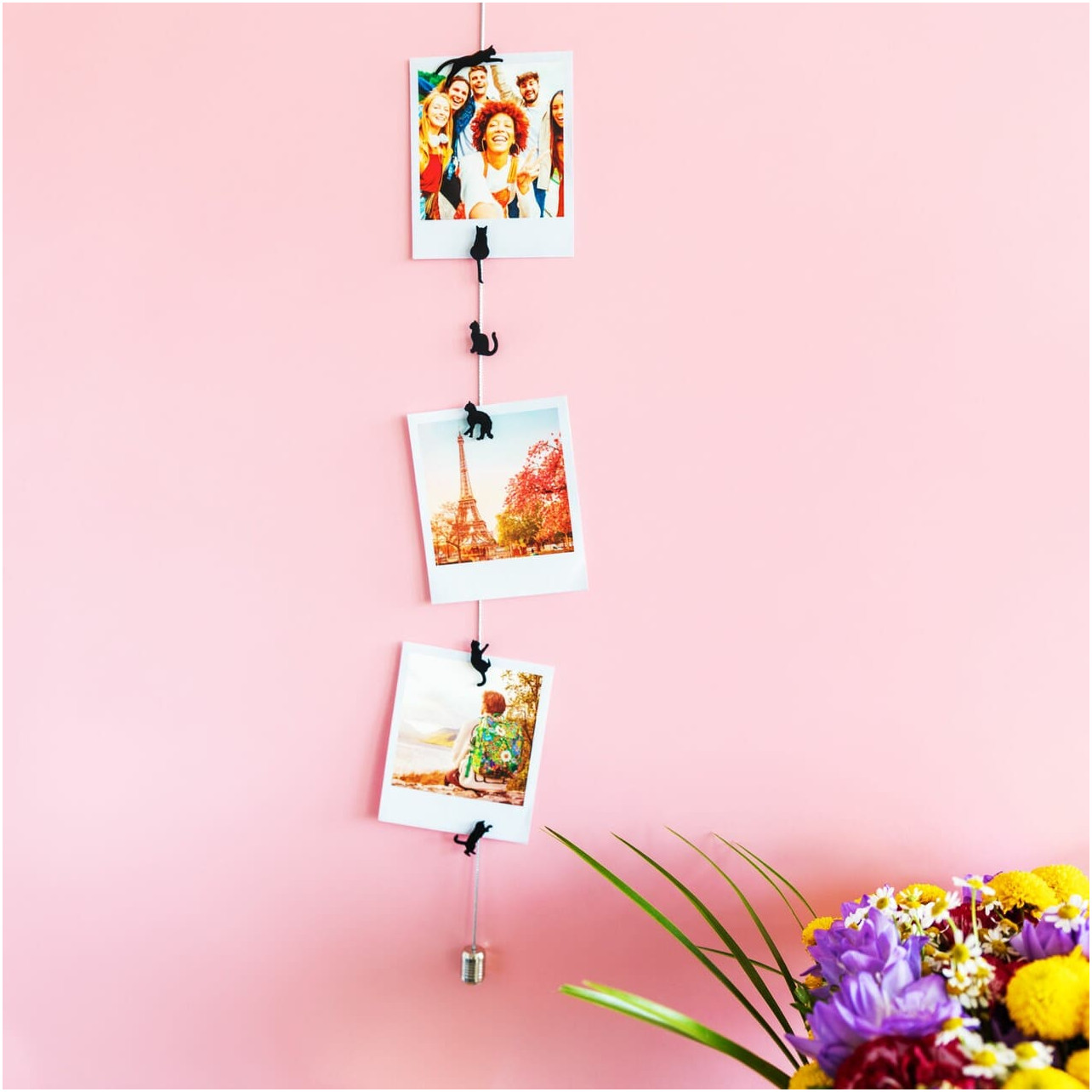 Pylones - fotohouderkabel met magneten - Katsign