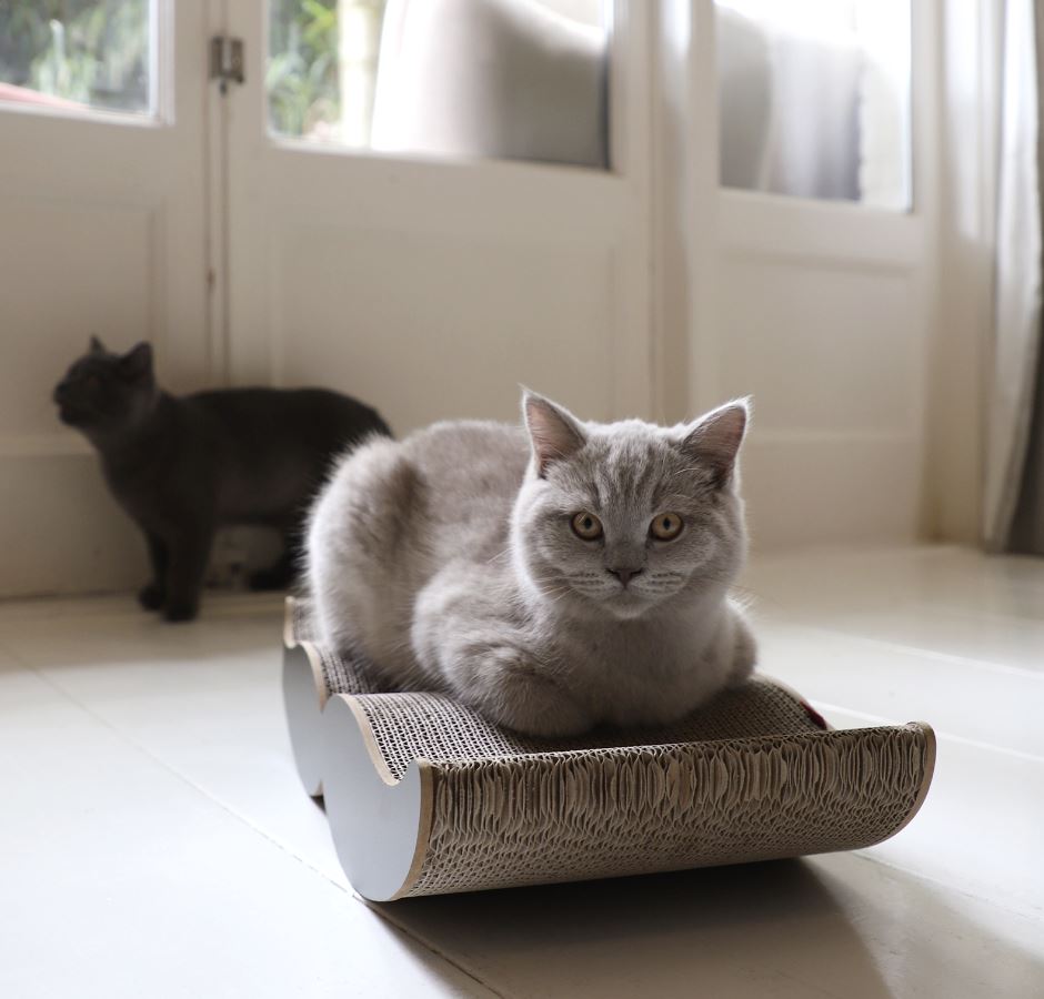 Moustache Krabmeubel - Katsign