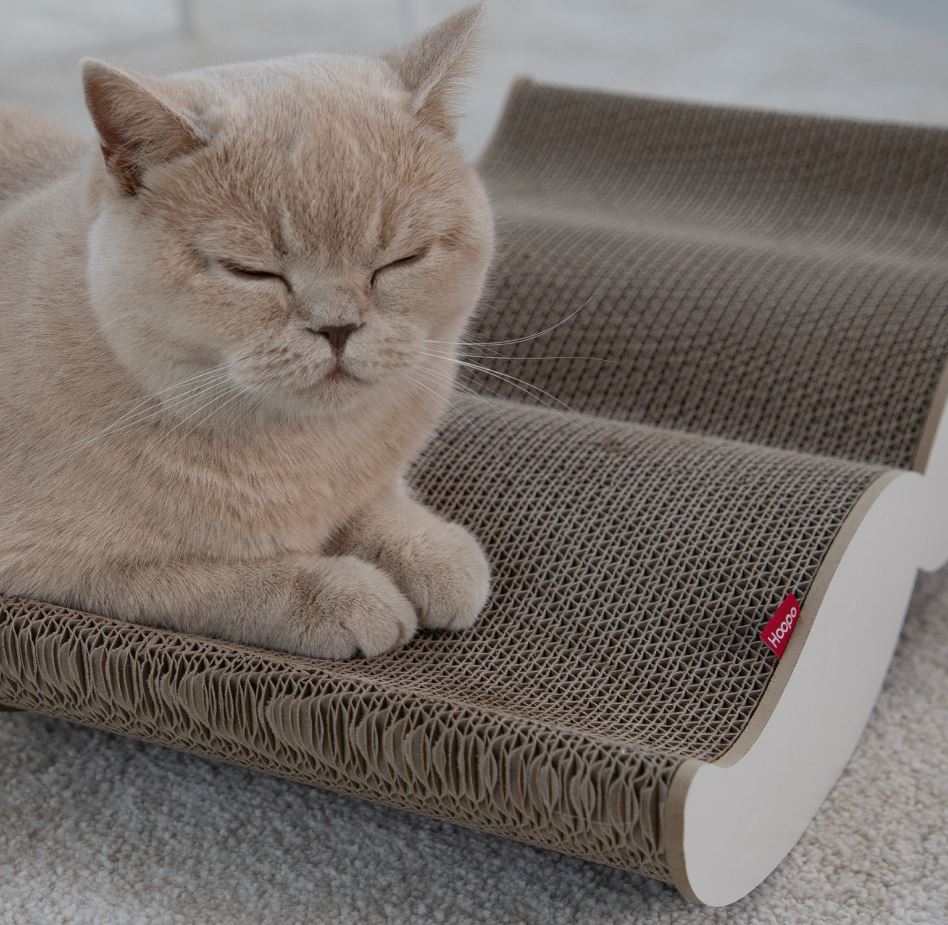 Moustache Krabmeubel - Katsign